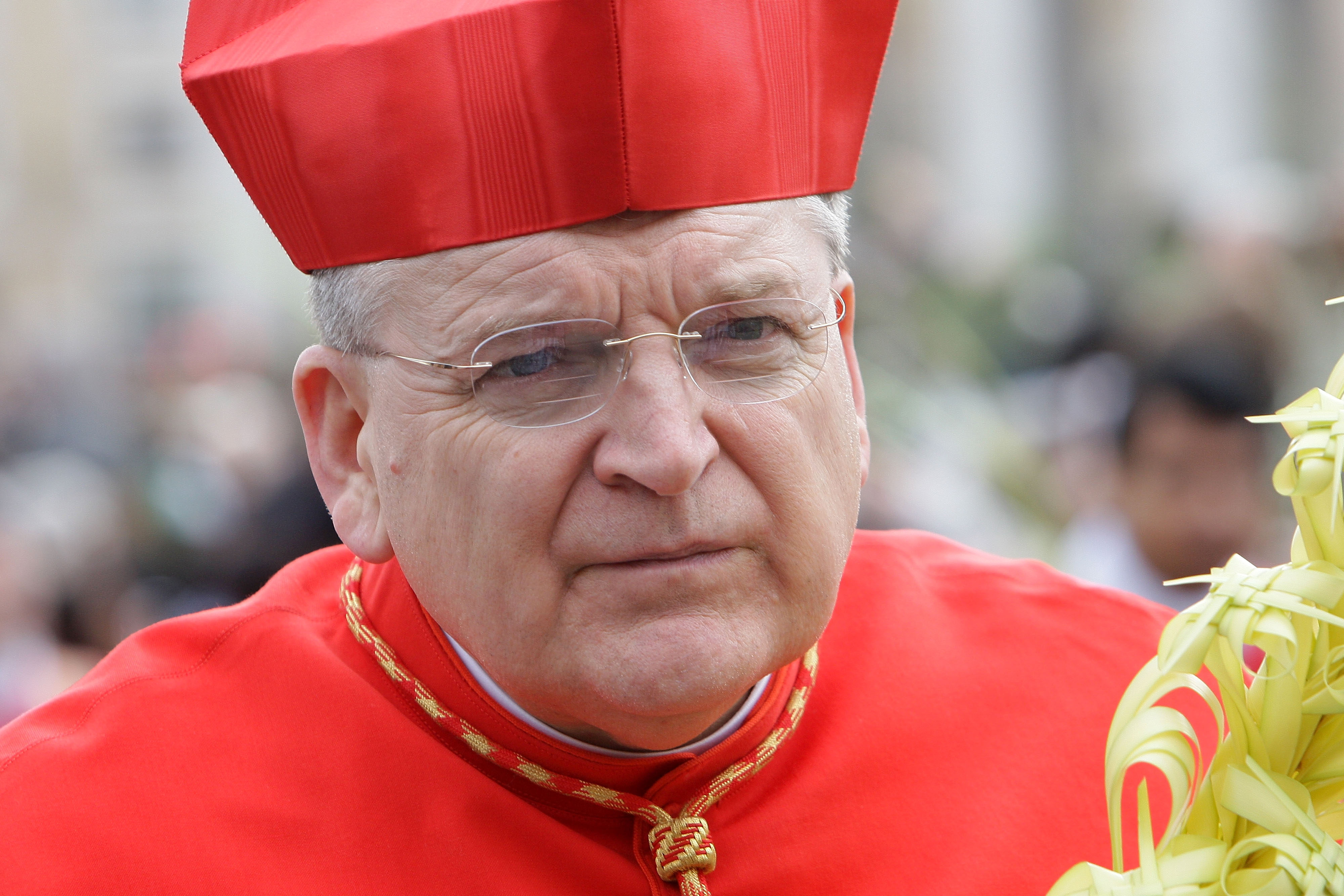 U.S. Cardinal Burke: To Oppose ‘Large-Scale Muslim Immigration’ is ...
