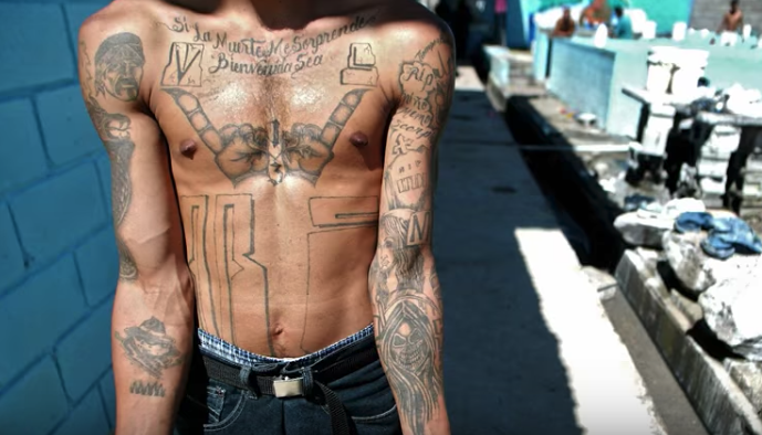 24 Alleged Ms 13 Members Indicted In Md Drugs Murder Bodies